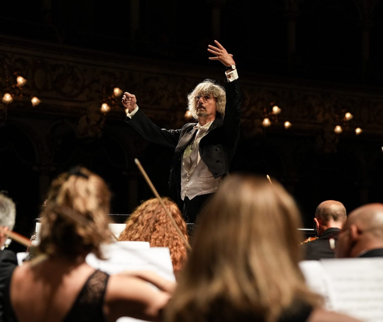 Federico Maria Sardelli - Allegorica.art